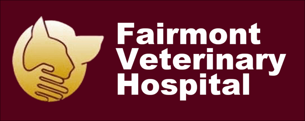 Fairmont Veterinary Hospital | Best Veterinary Hospital In Fairmont, WV